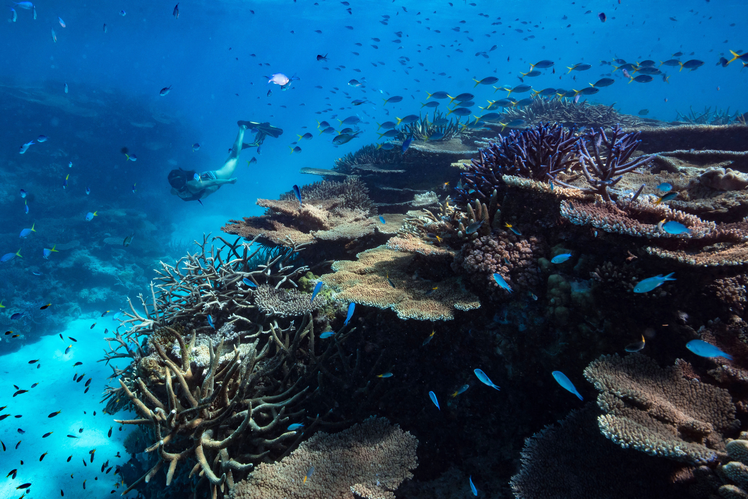 Signature Experiences - Orpheus Island Lodge